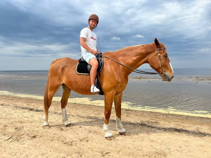 Riga Horse Riding tour along the Beach - What Makes This Tour Stand Out
