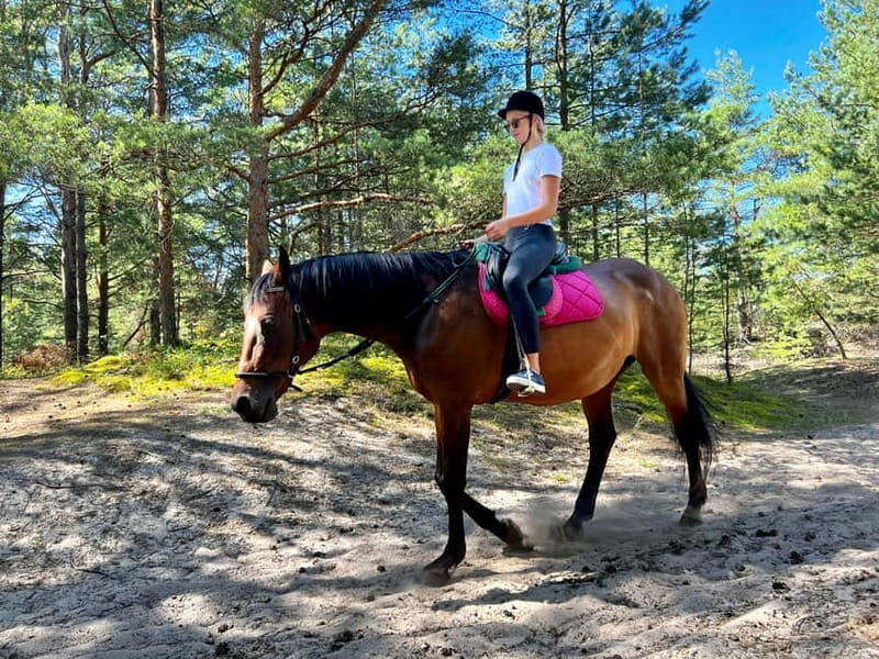 Riga Horse Riding tour along the Beach - Practical Considerations