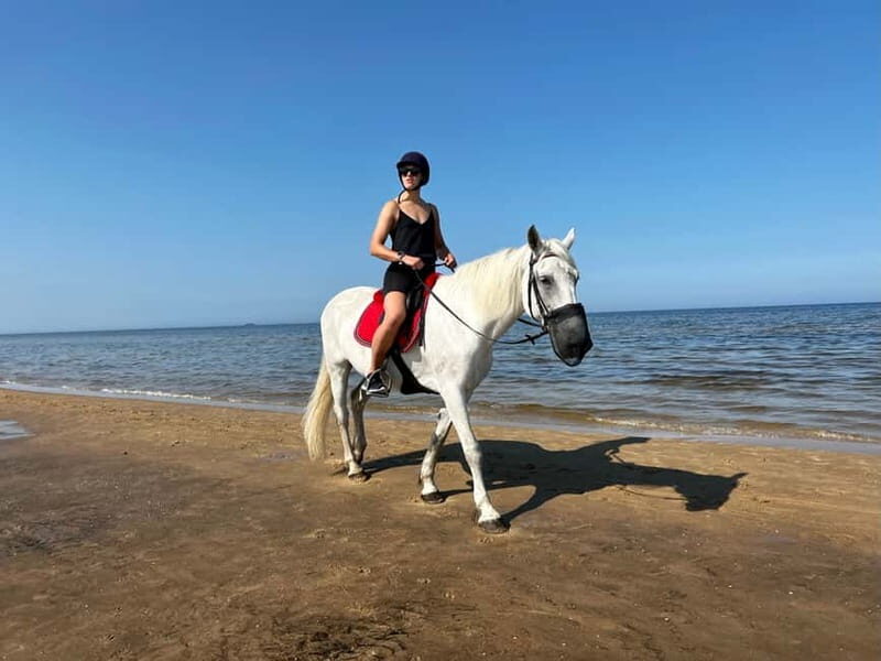 Riga Horse Riding tour along the Beach - Who Should Consider This Tour?