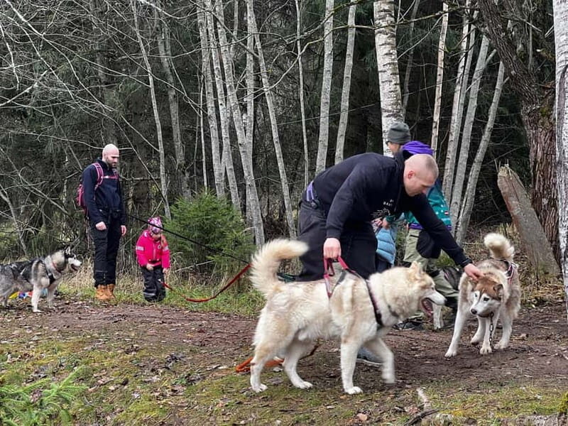 Riga: Husky Hike in the Nature Trail - Key Points