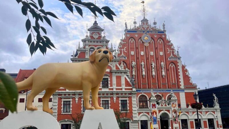 Riga Package: Canal Boat Tour + Drink & Old Town Audio Guide - FAQ: Your Practical Questions Answered