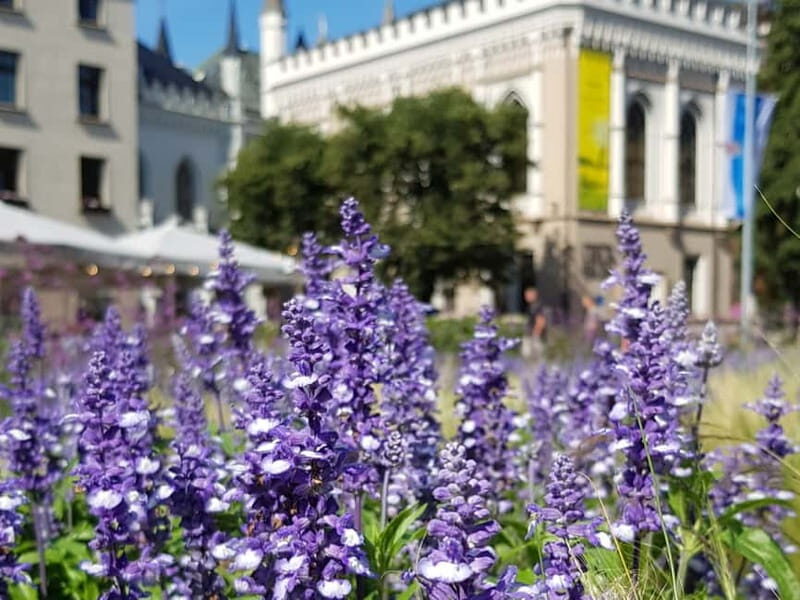 Riga: Private City Tour by car (incl. Old Town) - Key Points