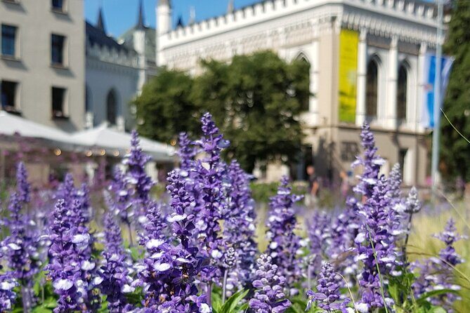 Riga Sightseeing Tour for First Time Visitors - Overall Experience and Value