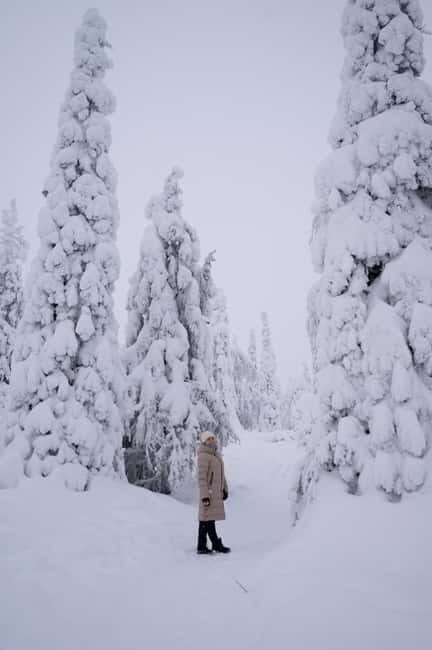 Riisitunturi National Park Private Photoshoot & Hiking - Exploring Riisitunturi: The Heart of Arctic Beauty