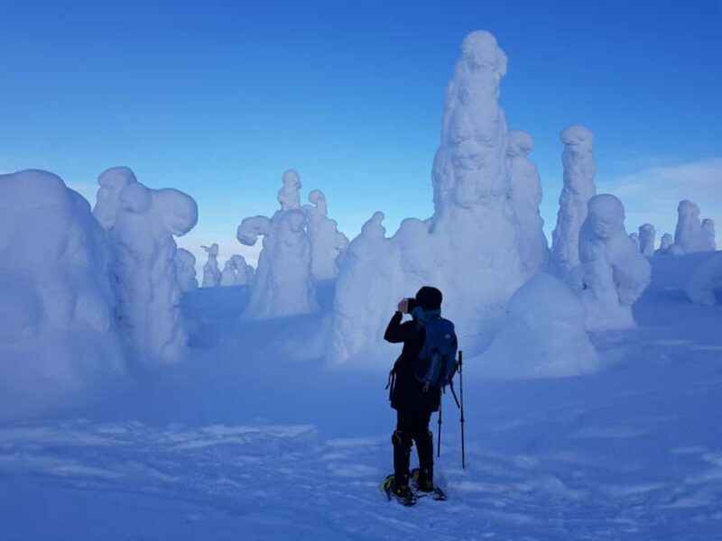 Riisitunturi National Park Snowshoe Adventure - Key Points
