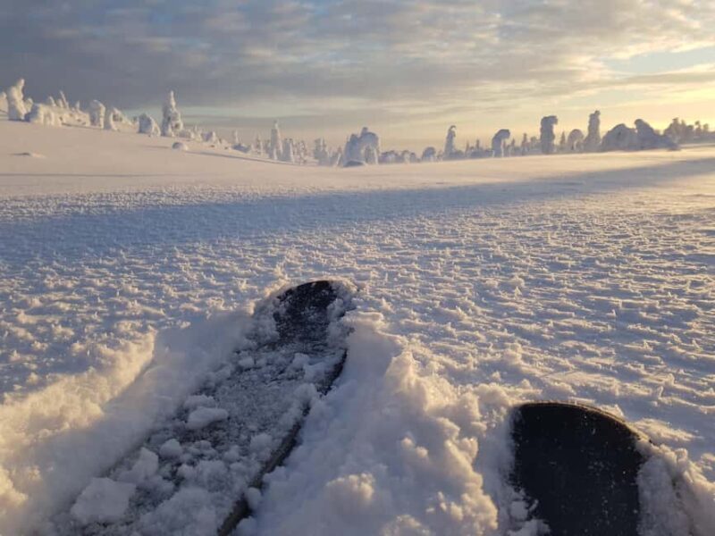 Riisitunturi National Park Snowshoe Adventure - FAQs