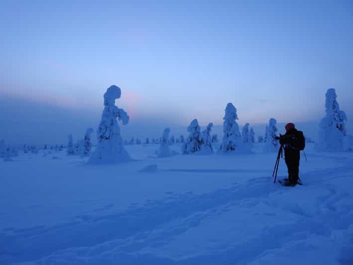 Riisitunturi National Park Snowshoe Experience - Key Points