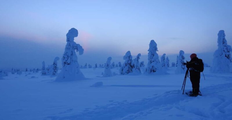 Riisitunturi National Park Snowshoe Experience - The Itinerary in Detail