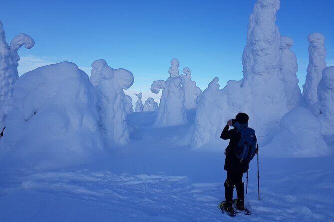 Riisitunturi National Park Snowshoe Experience - A Close Look at the Riisitunturi National Park Snowshoe Experience