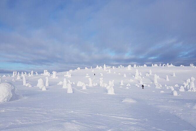 Riisitunturi National Park Snowshoe Experience - Key Points