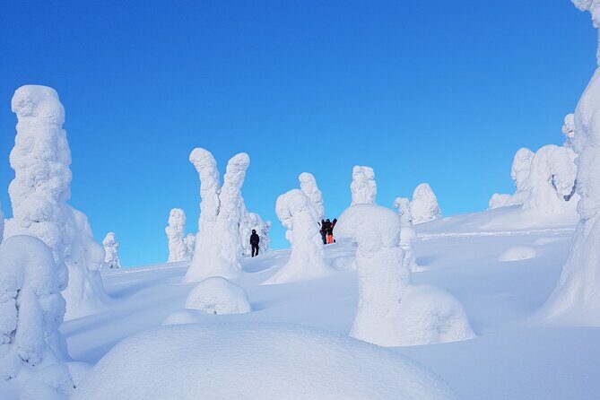 Riisitunturi National Park Snowshoe Experience - The Practicalities of the Tour