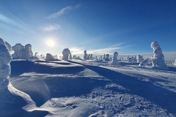 Riisitunturi National Park Snowshoe Experience - Authenticity and Local Knowledge
