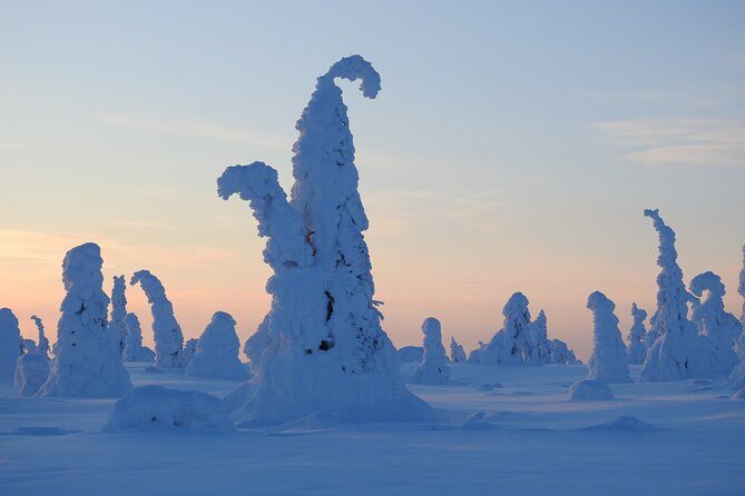 Riisitunturi National Park Snowshoe Experience - Who Will Enjoy This Tour?