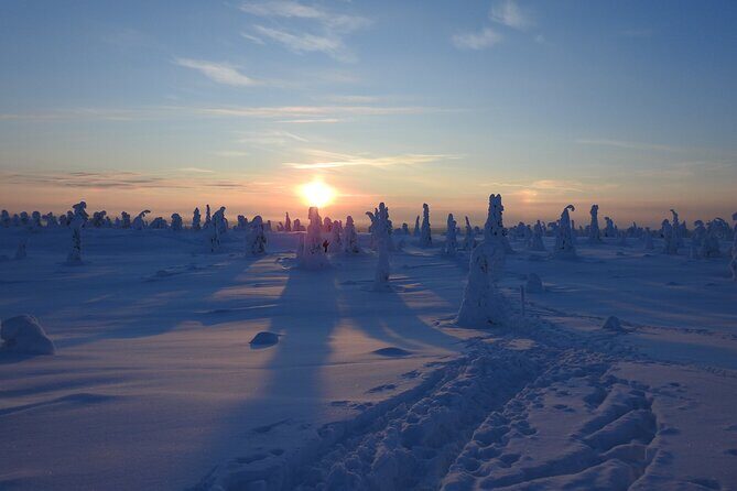 Riisitunturi National Park Snowshoe Experience - The Sum Up
