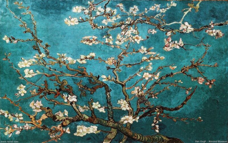 Rijksmuseum & Van Gogh Museum: Timed Entrance & Guided Tour - Who Will Benefit Most from This Tour?