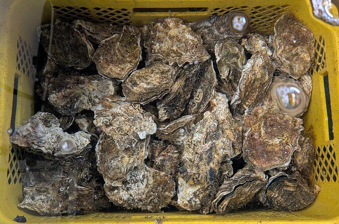 Rikuzen Takata Gold Bus Tour Public - FAQ