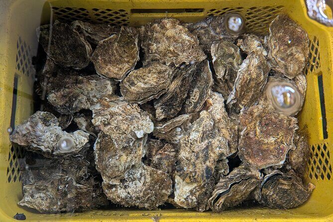 Rikuzen Takata Gold Bus Tour Public - Final Thoughts