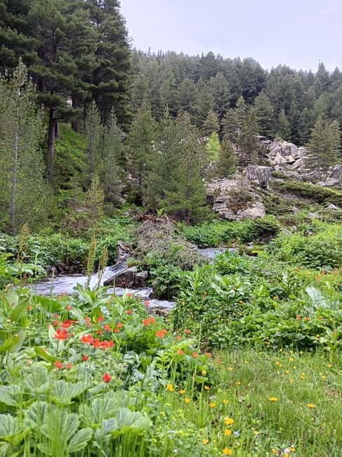 Rilska skakavitsa waterfall hiking tour - Exploring the Highlights of the Rilska Skakavitsa Waterfall Tour