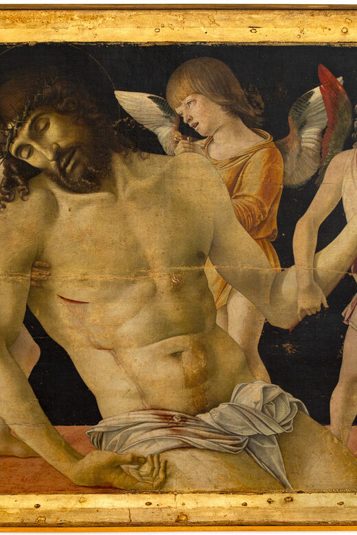 Rimini Art Card: Fellini Museum,Surgeon's house,City Museums - What Makes This Tour Stand Out