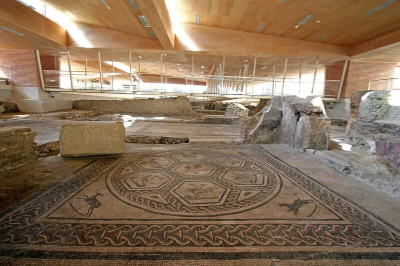 Rimini: Domus del Chirurgo and City Museum Entry Ticket - What to Expect During Your Visit