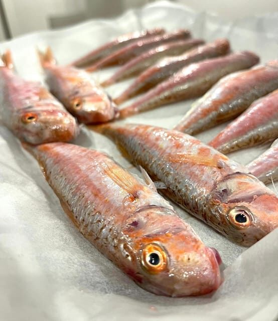 Rimini: Romagna Seafood Cooking Class - Who Would Love This Experience?