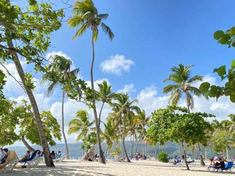 Rincon Beach and Cayo Levantado from Punta Cana - Discovering the Highlights