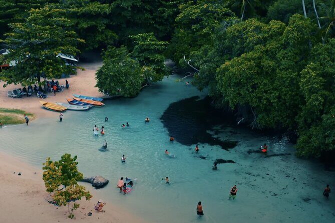 Rincon Beach and Cayo Levantado from Punta Cana - What travelers say