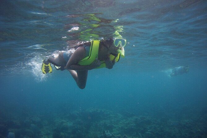 Rincon Snorkeling Adventure - FAQs