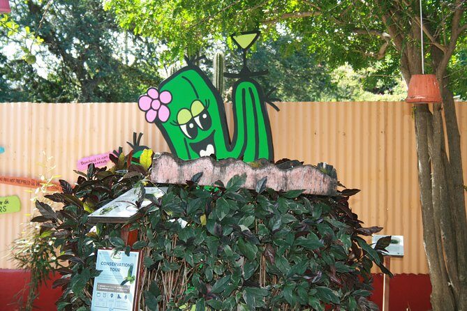 Rincon Visit with Local Guide - A Deep Dive into the Rincon Experience