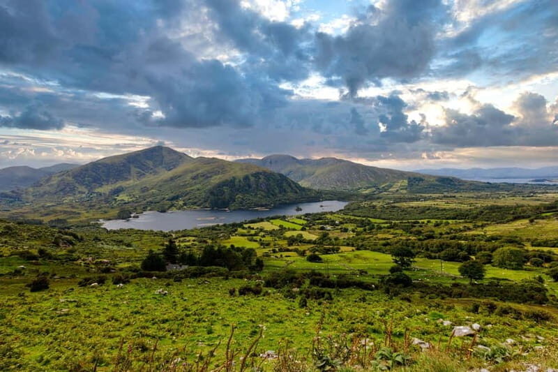 Ring of Beara: Private Tour from Killarney - The Sum Up