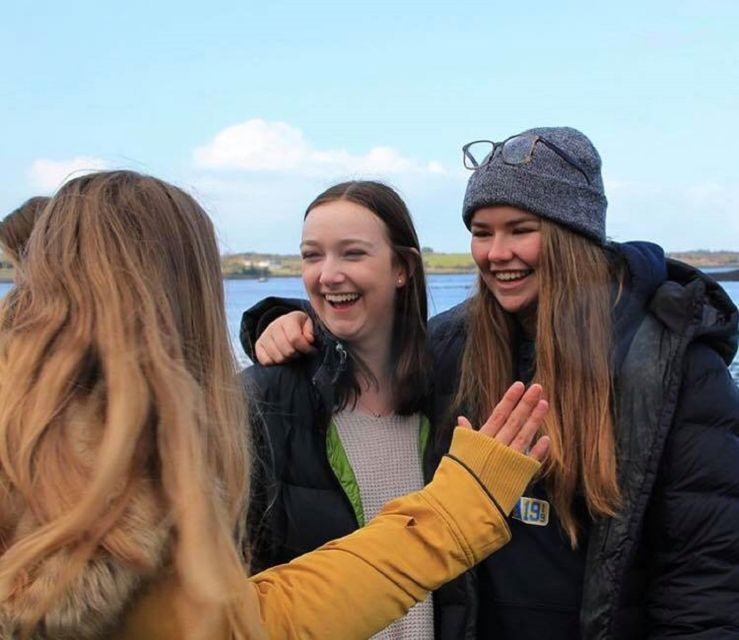 Ring of Kerry Full-Day Tour from Limerick - Overview and What to Expect