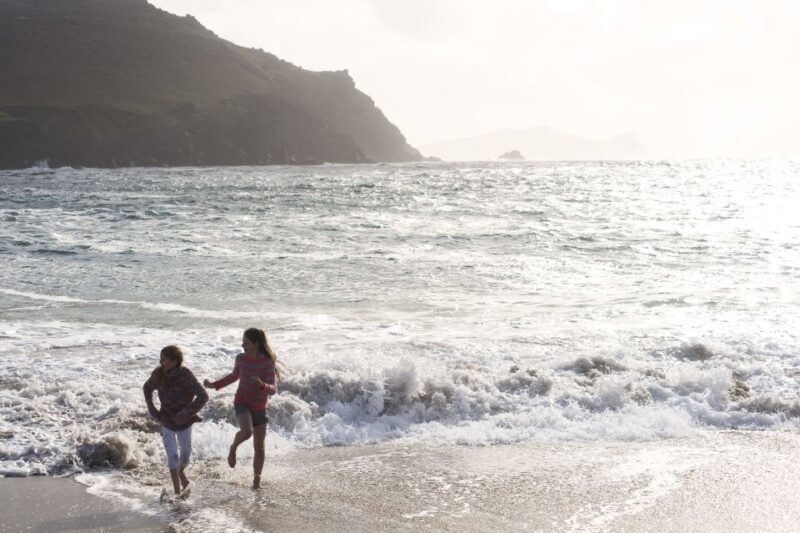Ring of Kerry Full-Day Tour from Limerick - Who Will Love This Tour?