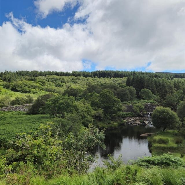Ring of Kerry tour - Is It Worth the Price?