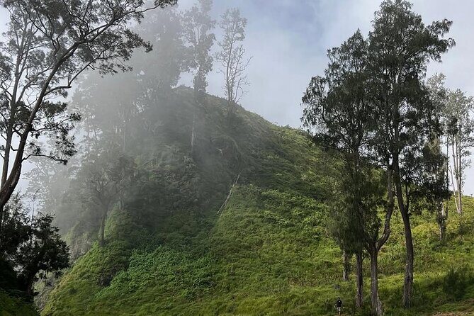 Rinjani Summit 2 days 1 night - Authentic Experiences and Real Feedback