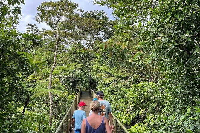 Rio Celeste Waterfall Plus Sloths and wildlife Sanctuary - Who Should Book This Tour?