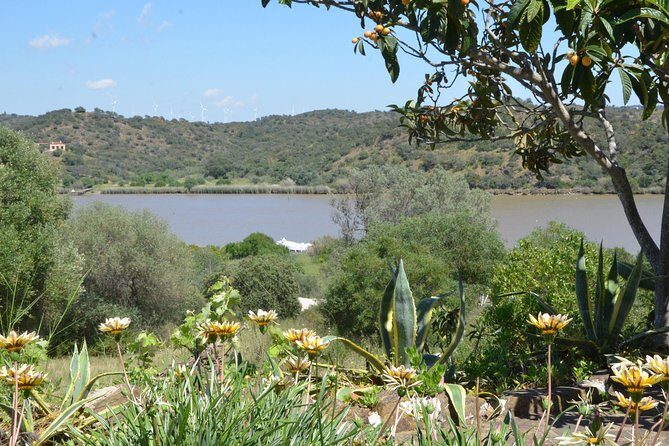 Rio Guadiana River Cruise - Pricing and Value for Money