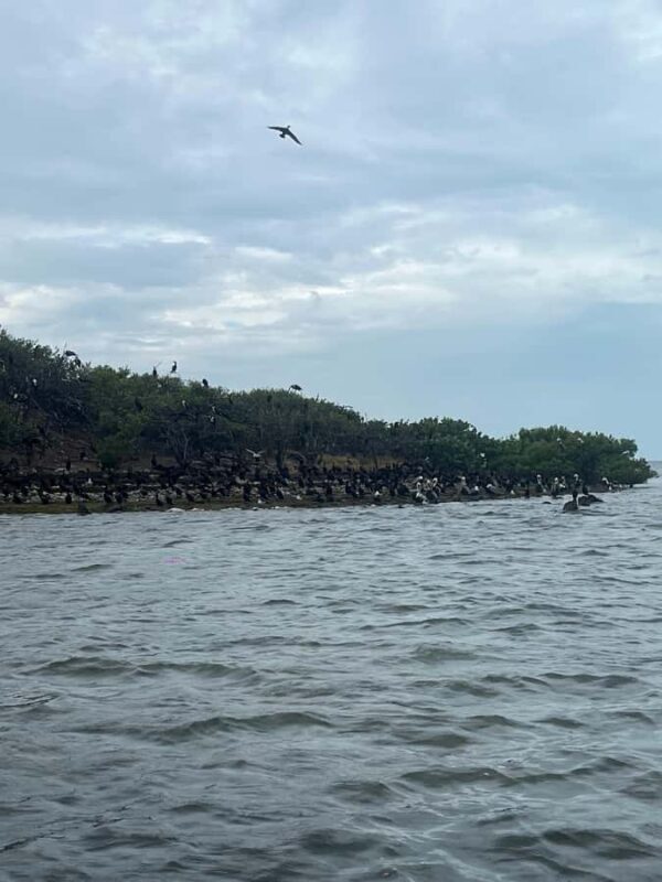 Río Lagartos 3 Islands, Mayan history and Oasis - Key Points