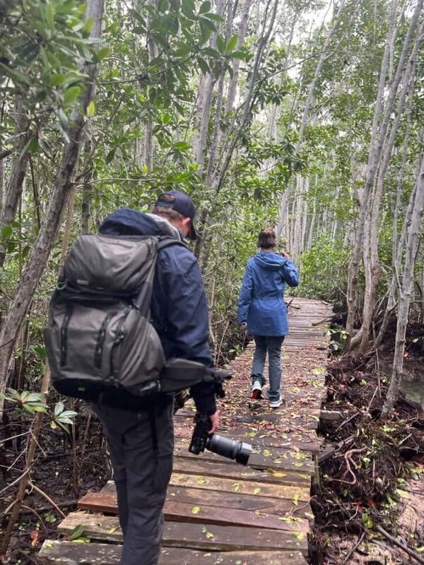 Río Lagartos 3 Islands, Mayan history and Oasis - Authentic Experiences and Genuine Value