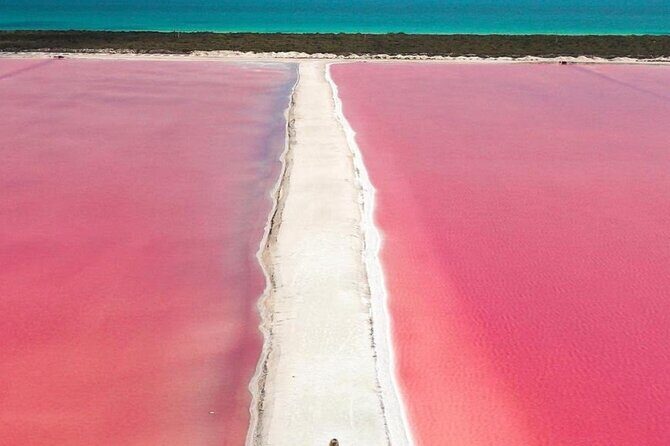 Rio Lagartos and Las Coloradas Day Tour from Cancun - FAQ