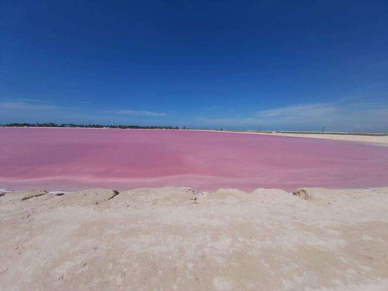 Rio Lagartos and Las Coloradas: EcoSafari Flamingo Luxury - The Value and Experience