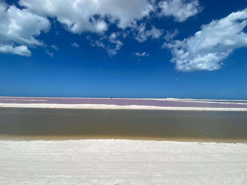 Río Lagartos and Las Coloradas: Natural Experience - A Deep Dive into the Río Lagartos and Las Coloradas Experience