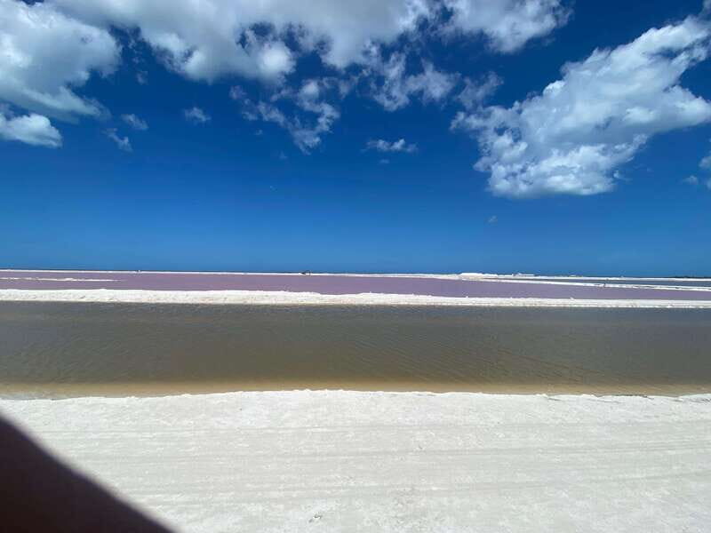 Río Lagartos and Las Coloradas: Natural Experience - Is This Tour Worth It?