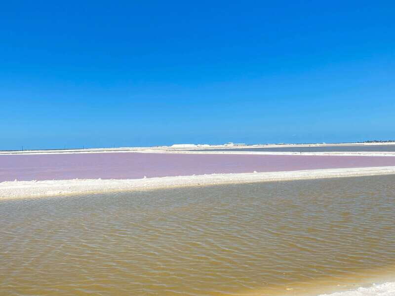 Río Lagartos and Las Coloradas: Natural Experience - FAQ