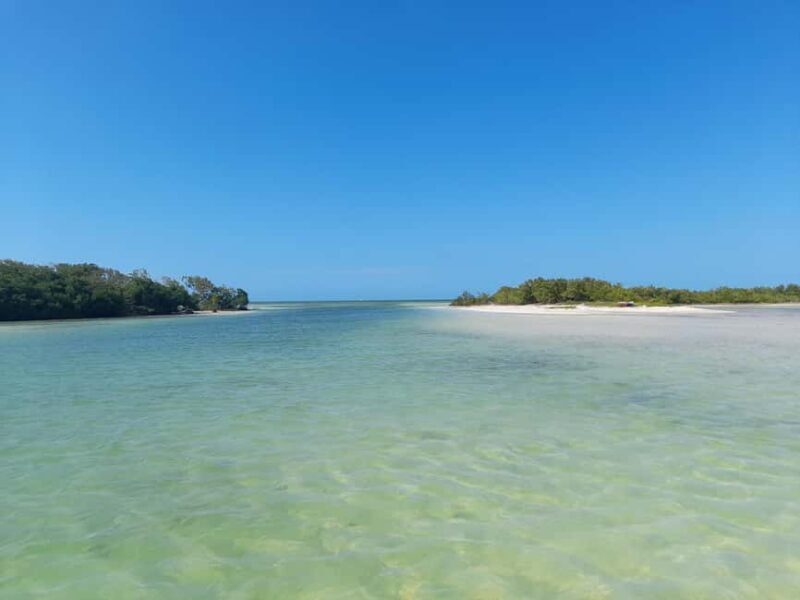 Rio Lagartos and San Felipe: Cerritos Island, adventure tour and Mayan culture. - Diving Into the Experience: What’s Included and How It’s Designed