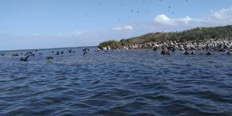 Rio Lagartos and San Felipe: Cerritos Island, adventure tour and Mayan culture. - The Sum Up: Who Should Consider This Tour?