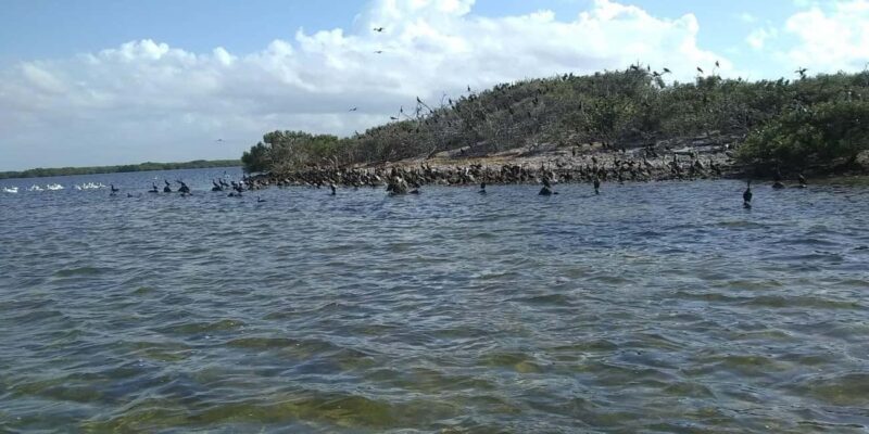 Rio Lagartos and San Felipe: Cerritos Island, adventure tour and Mayan culture. - FAQ: Your Questions Answered