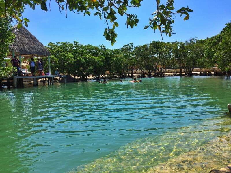 Rio Lagartos Expedition: boat journey through the mangrove - Introduction: Why this Río Lagartos Tour Gets It Right