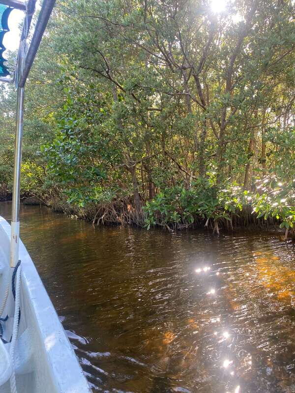 Rio Lagartos Expedition: boat journey through the mangrove - Practical Considerations: Booking and Tips