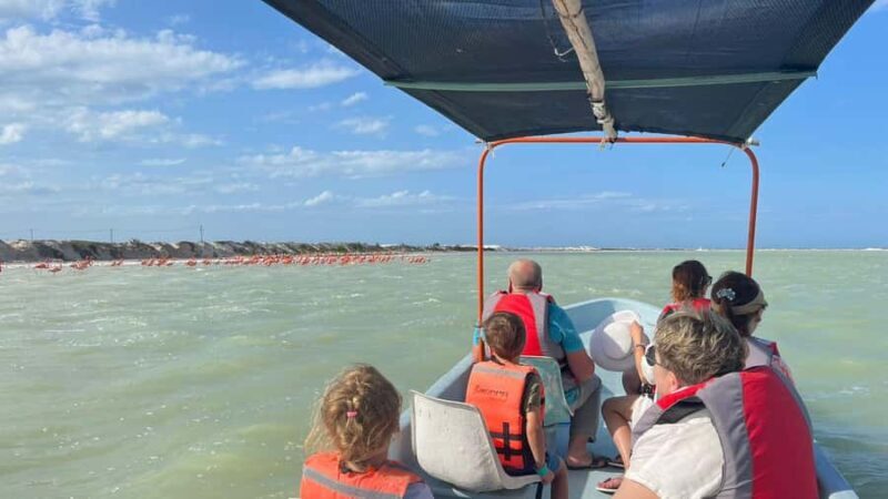 Río Lagartos & Las Coloradas Boat Tour: Flamingos, Mangroves - A Genuine Look at the Río Lagartos & Las Coloradas Experience
