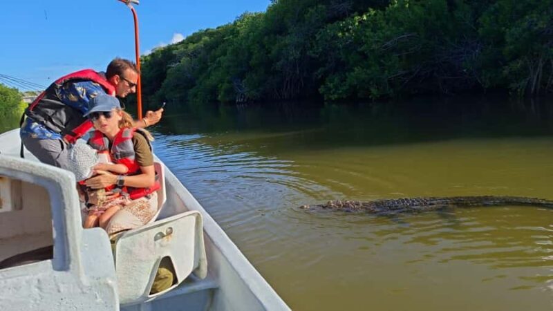 Río Lagartos & Las Coloradas Boat Tour: Flamingos, Mangroves - Who Will Appreciate This Experience?